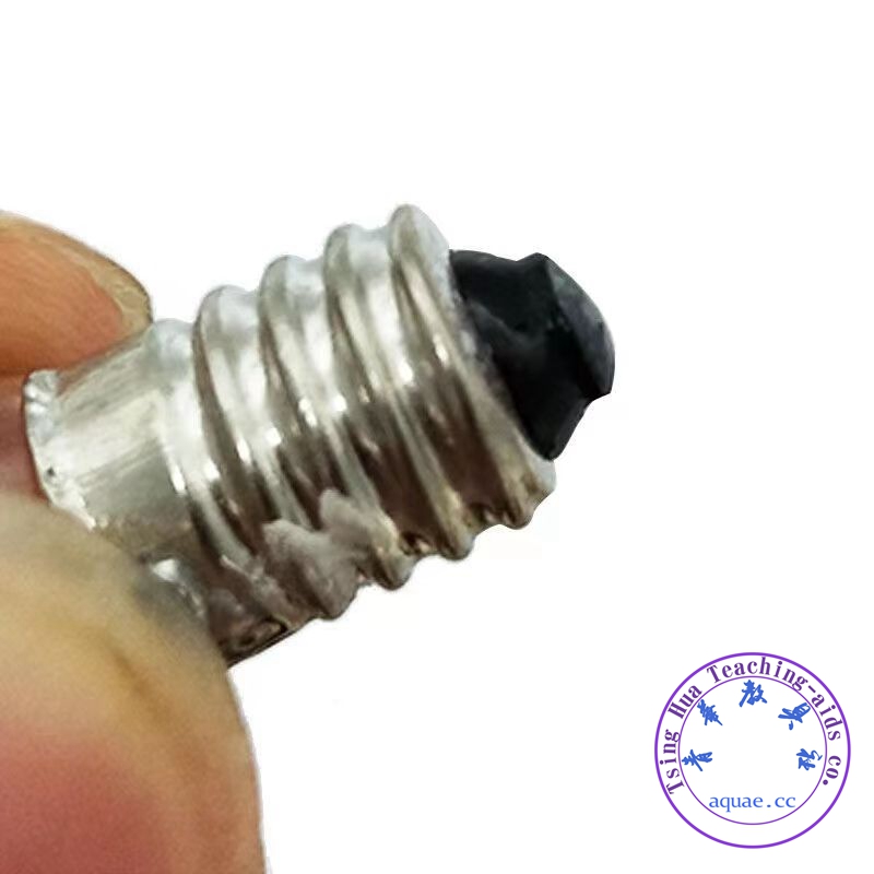 Bulbs, for torch（燈泡，電筒用）1.5V, pack of 50 – 青華教具社