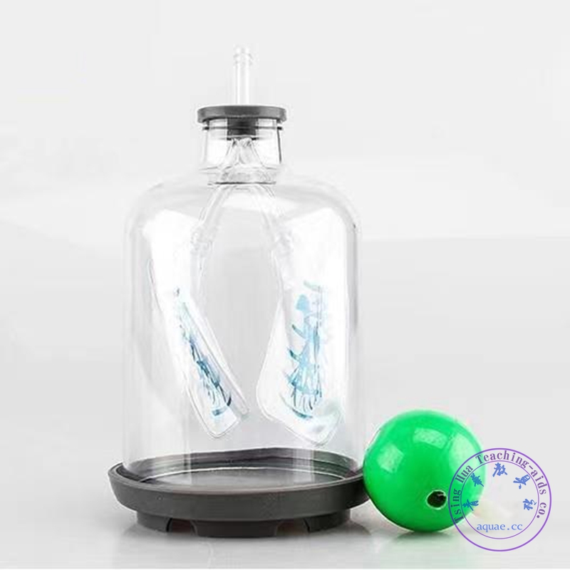 吸煙影響肺部演示模型 (手動) Smoking Affects Lungs Simulation Model – 青華教具社